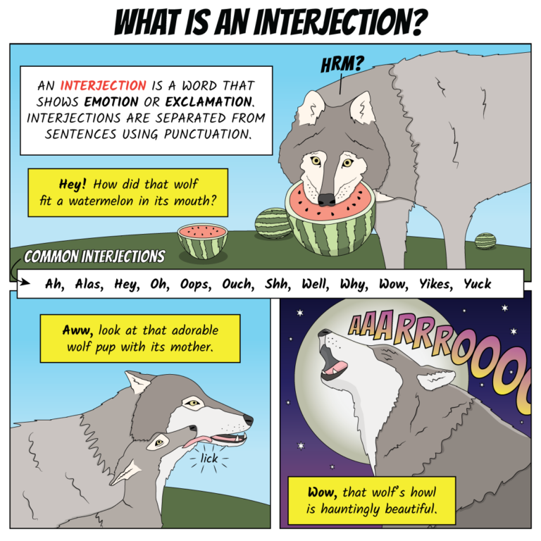Interjections » Super ELA!